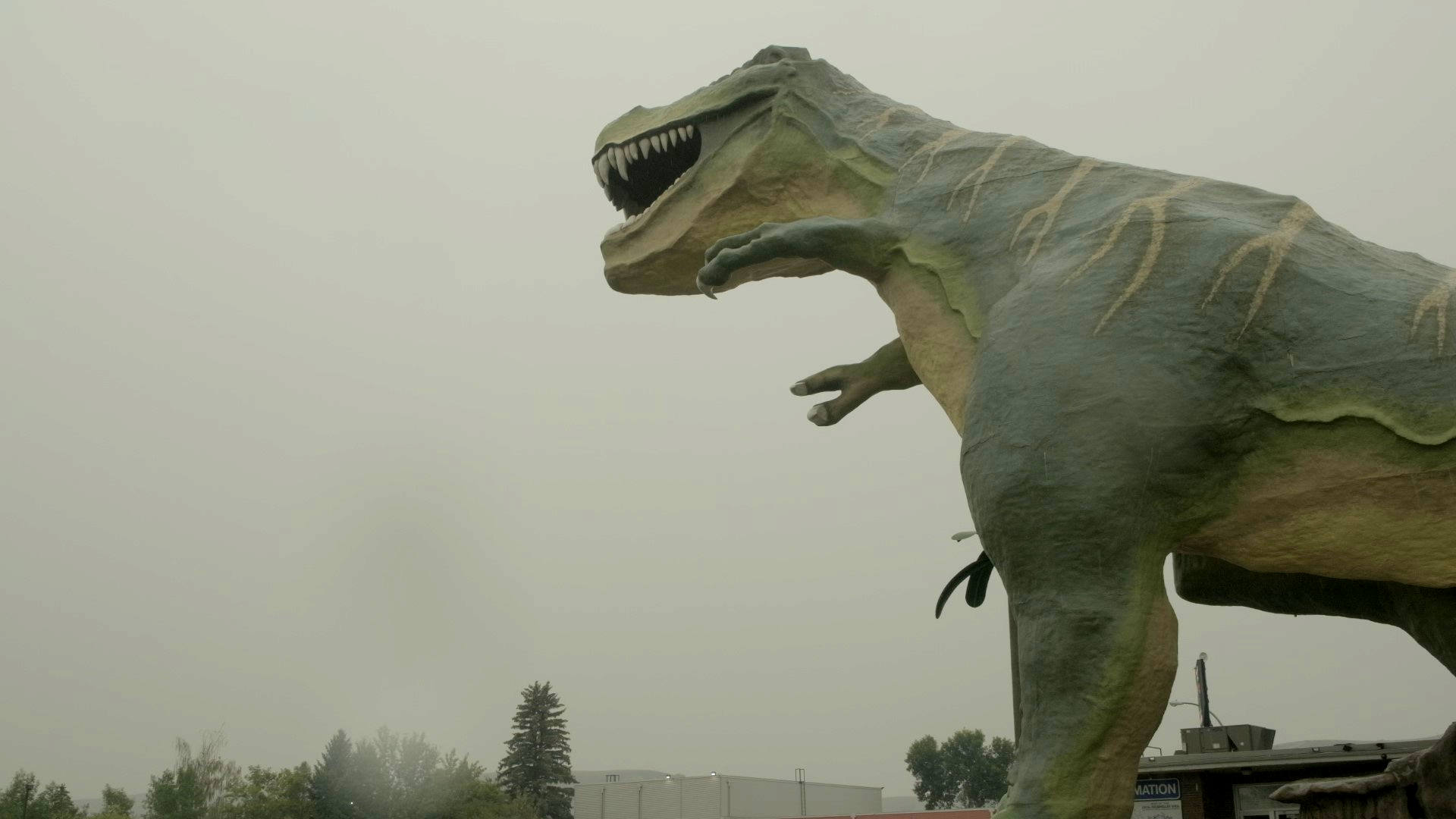 Tyra, Drumheller’s Huge T-Rex