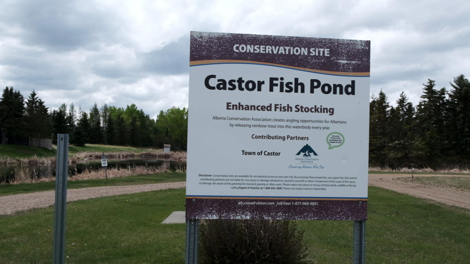 Castor, Alberta: A Small Town with a Big Story